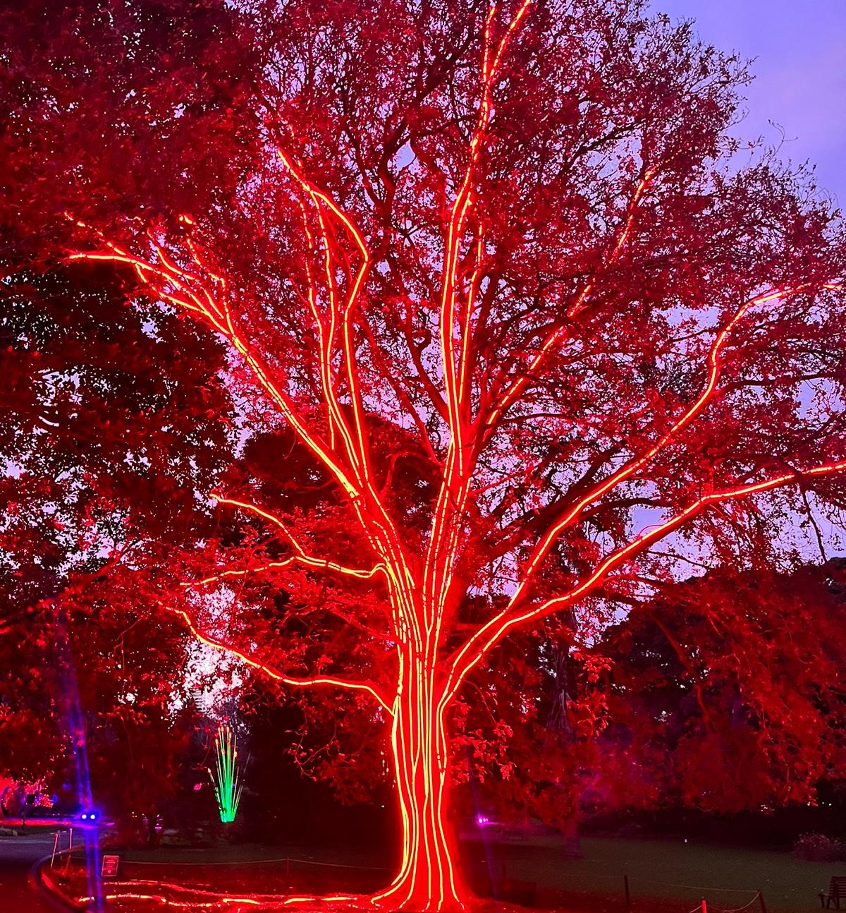 MA Services Group's Dedication to Lightscape 2023 Illuminating ...