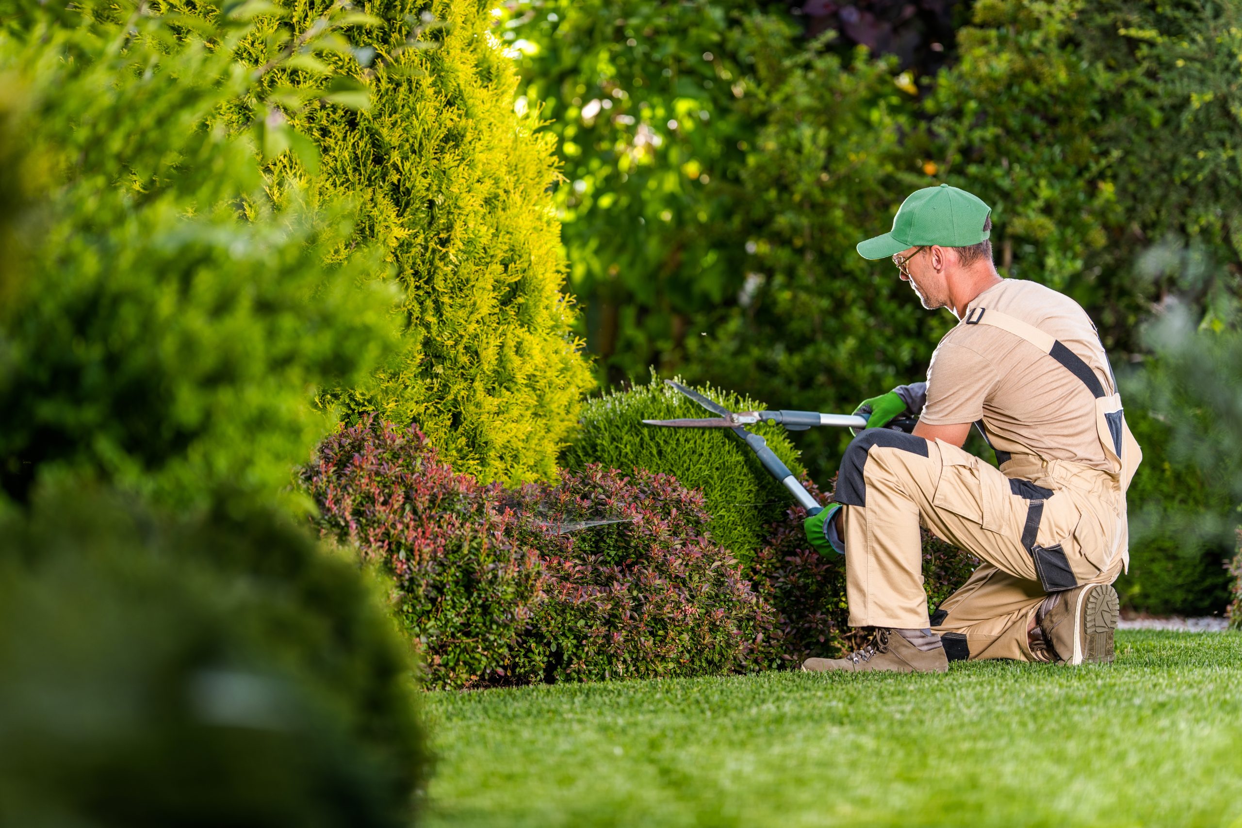 The Benefits of Hiring a Professional Grounds Maintenance Service for ...